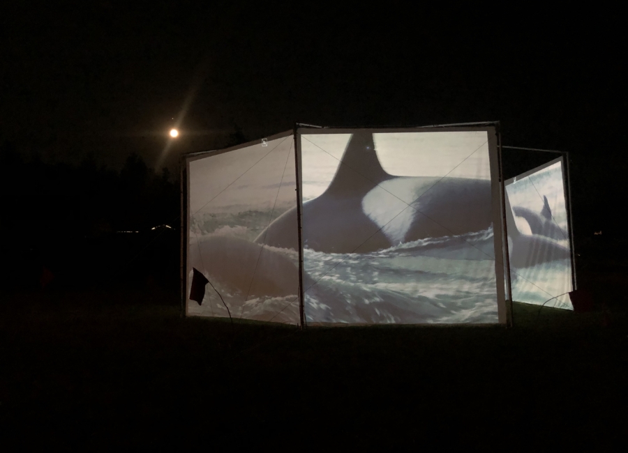 New outdoor exhibition and IMAX-style film venue - The Natural History ...