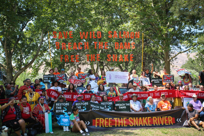From the Road: Freeing the Snake River - The Natural History Museum