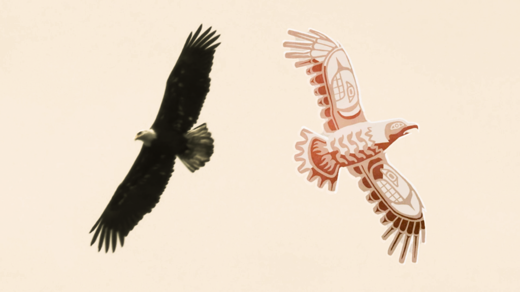 Unfence the Future: Taking Down Fortress Conservation and its Enduring ...