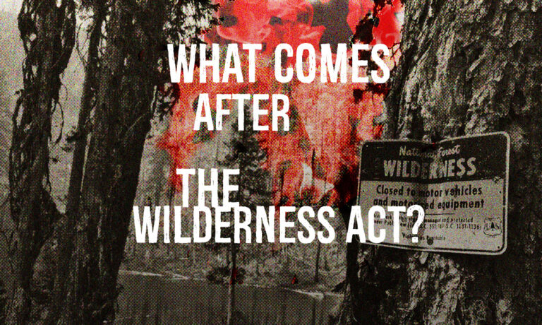 What Comes After the Wilderness Act: Video & Highlights - The Natural ...